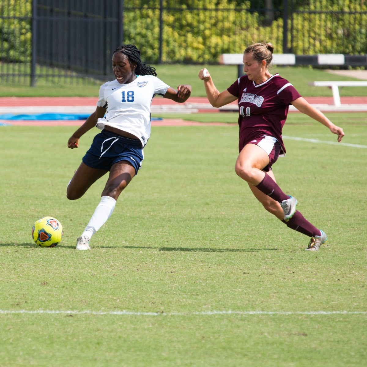 Soccer Fan Experience MenWomen – Emory Giving
